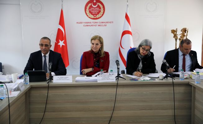 Sağlık Bakanlığı, Milli Eğitim Bakanlığı onaylandı - Kıbrıs Manşet ...